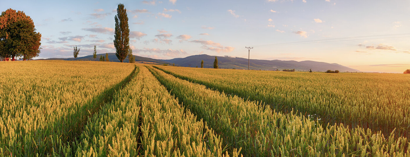 Agricultural Stone & Lime - Rohrer's Quarry
